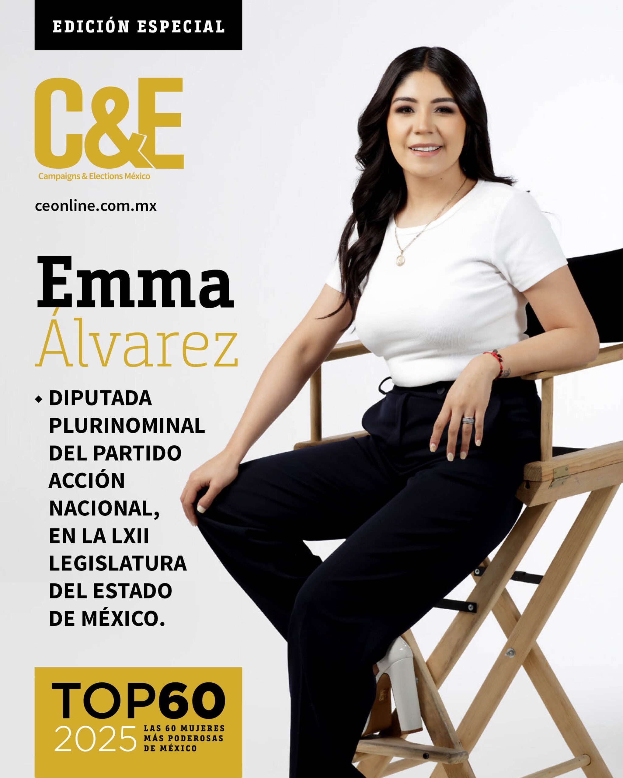 EMMA ÁLVAREZ VILLAVICENCIO - Campaigns and Elections México