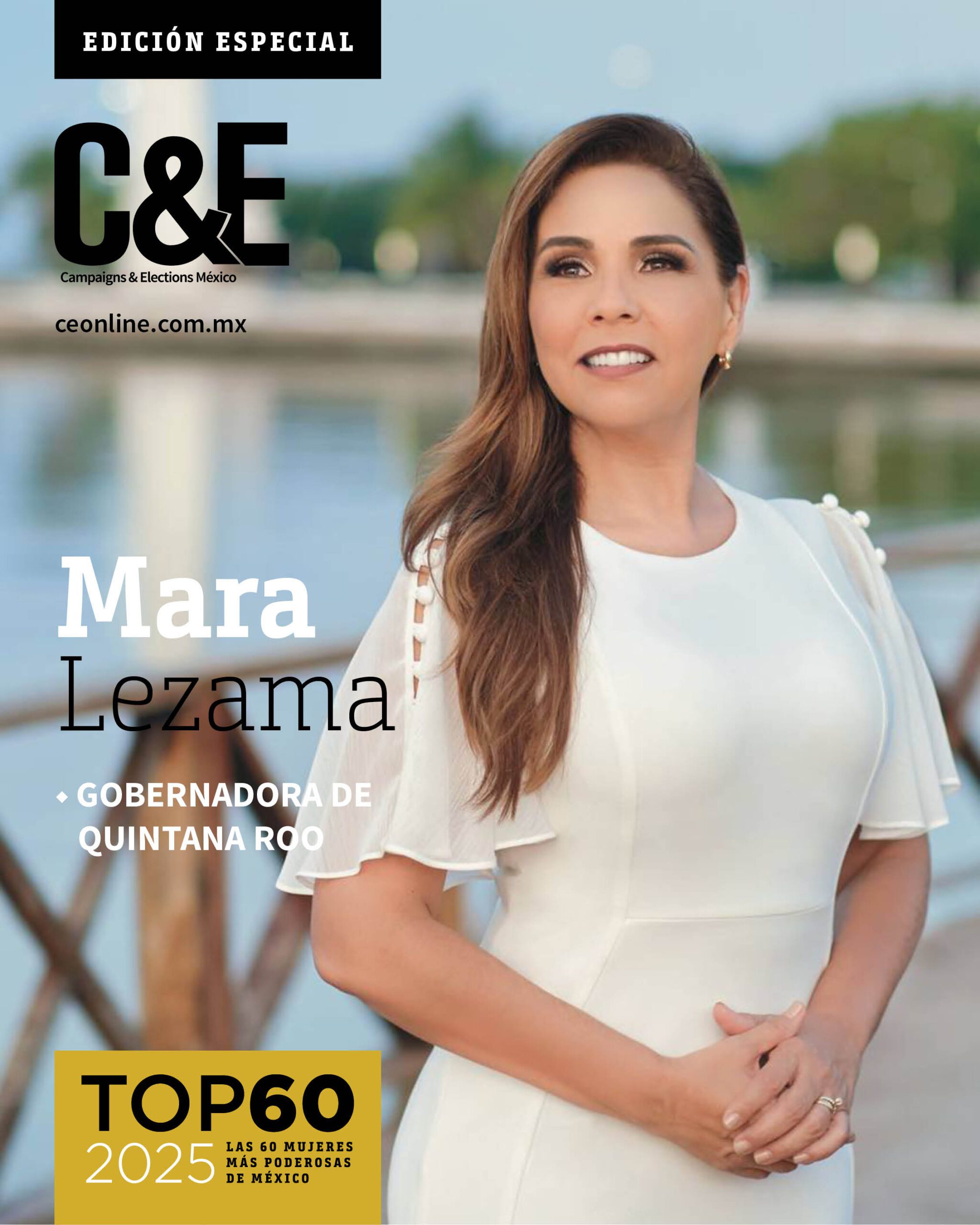 MARA LEZAMA - Campaigns and Elections México