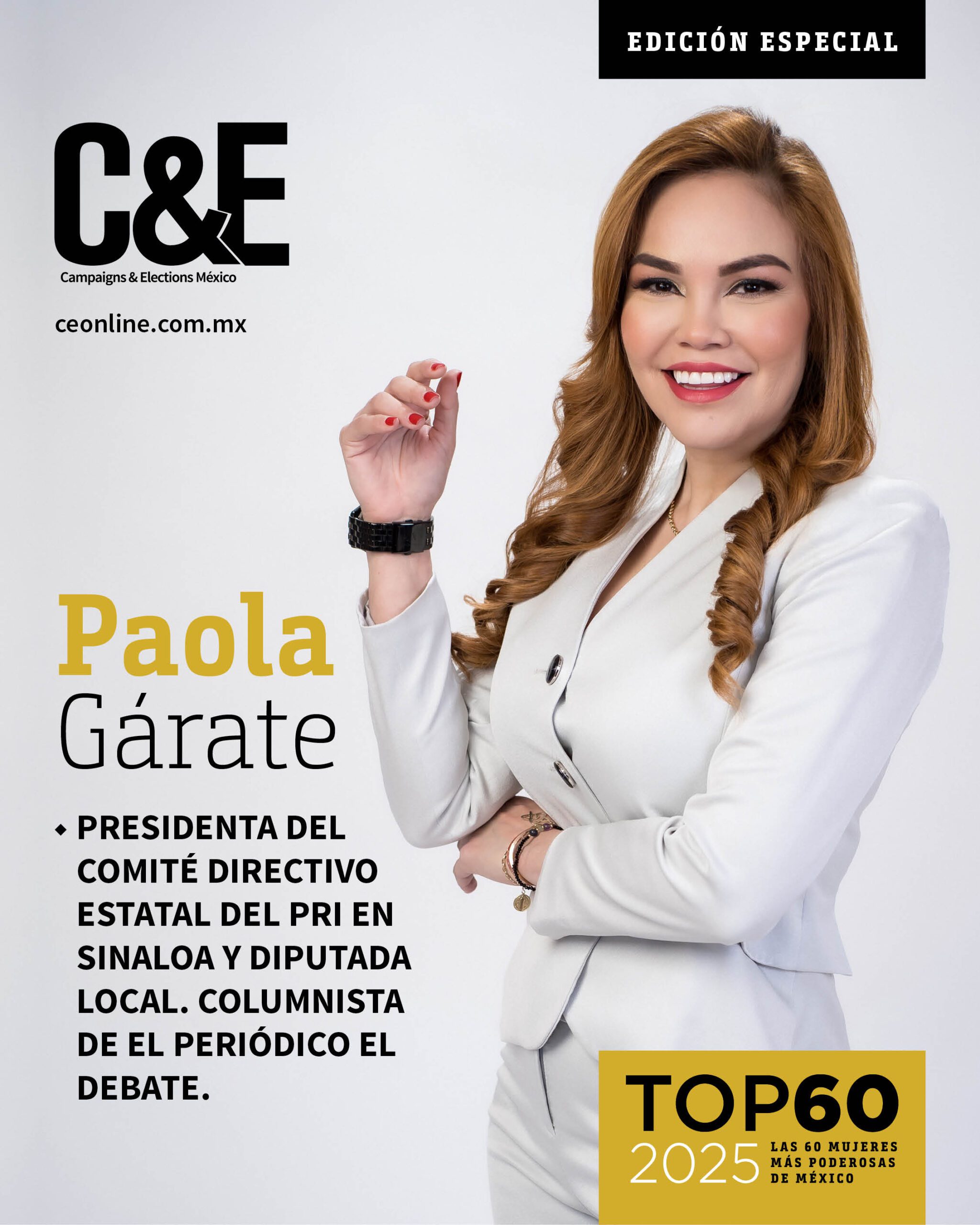 PAOLA GÁRATE - Campaigns and Elections México