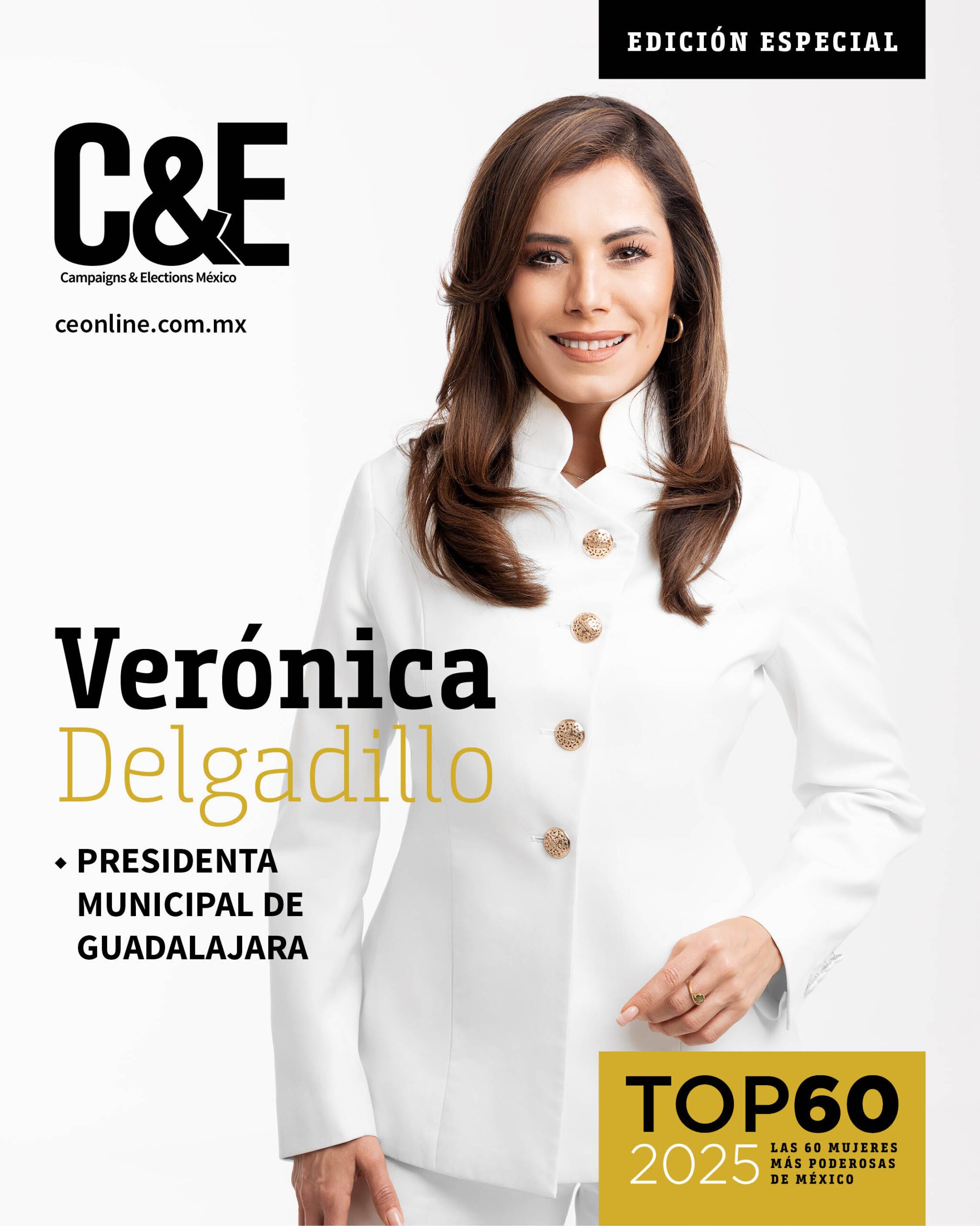 VERÓNICA DELGADILLO - Campaigns and Elections México