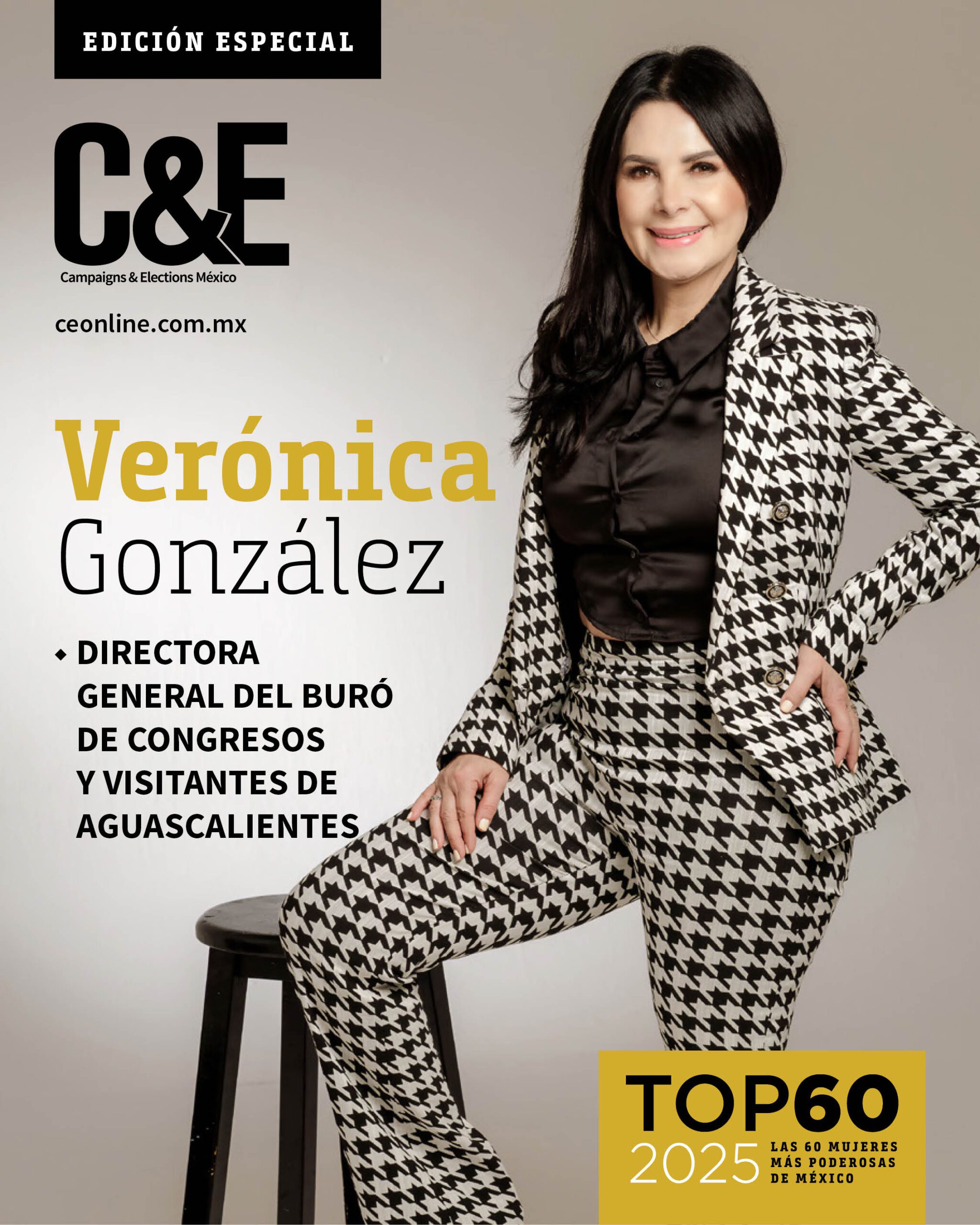 VERÓNICA GÓNZALEZ - Campaigns and Elections México