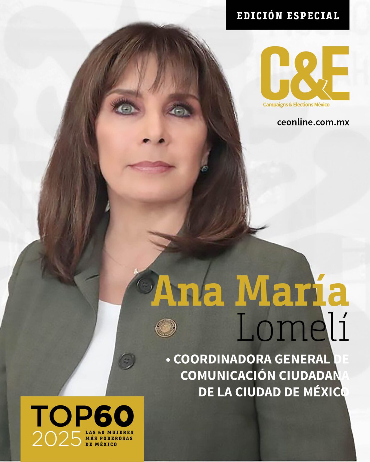 Ana María Lomelí - Campaigns and Elections México