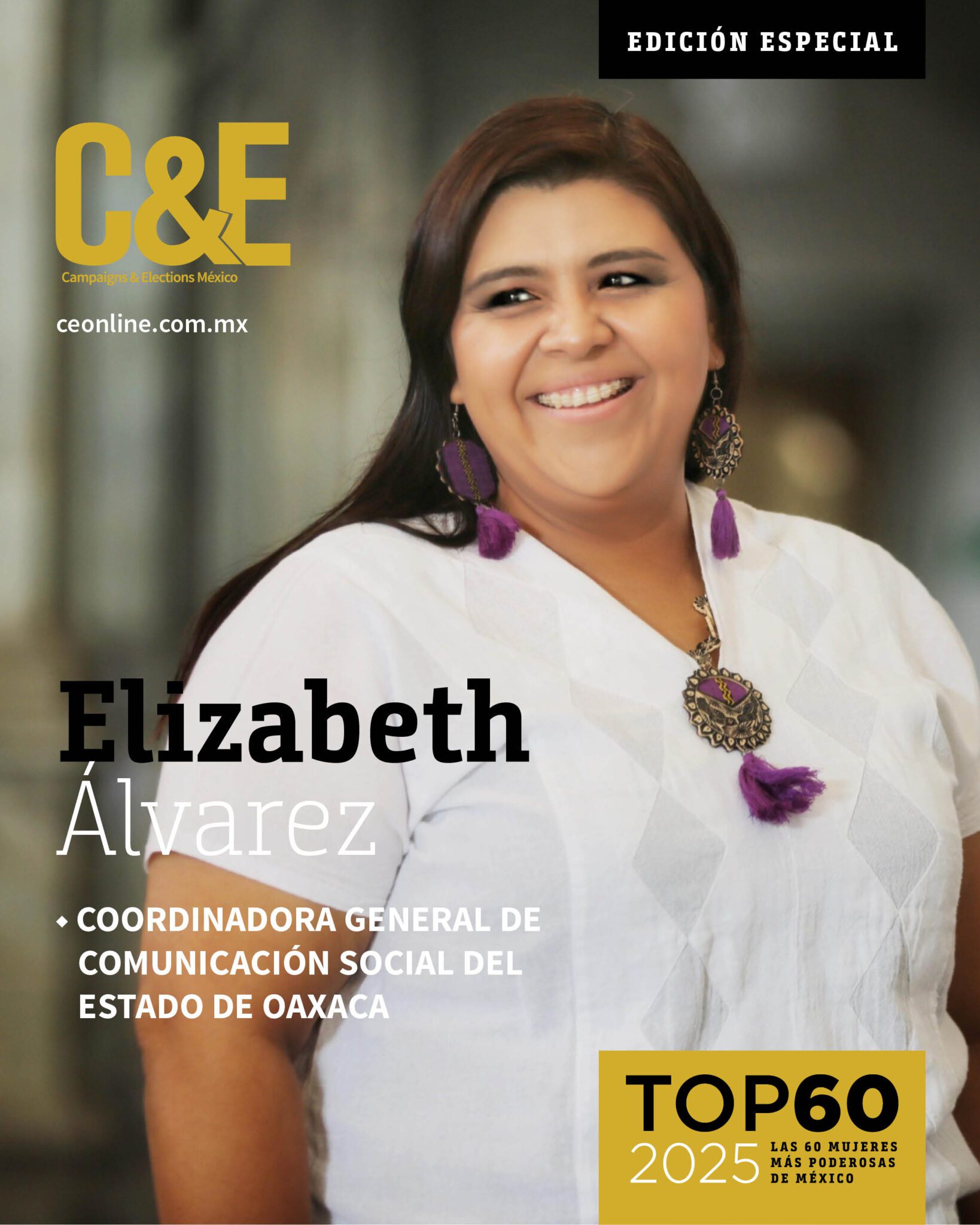Irene Elizabeth Álvarez Acosta - Campaigns and Elections México