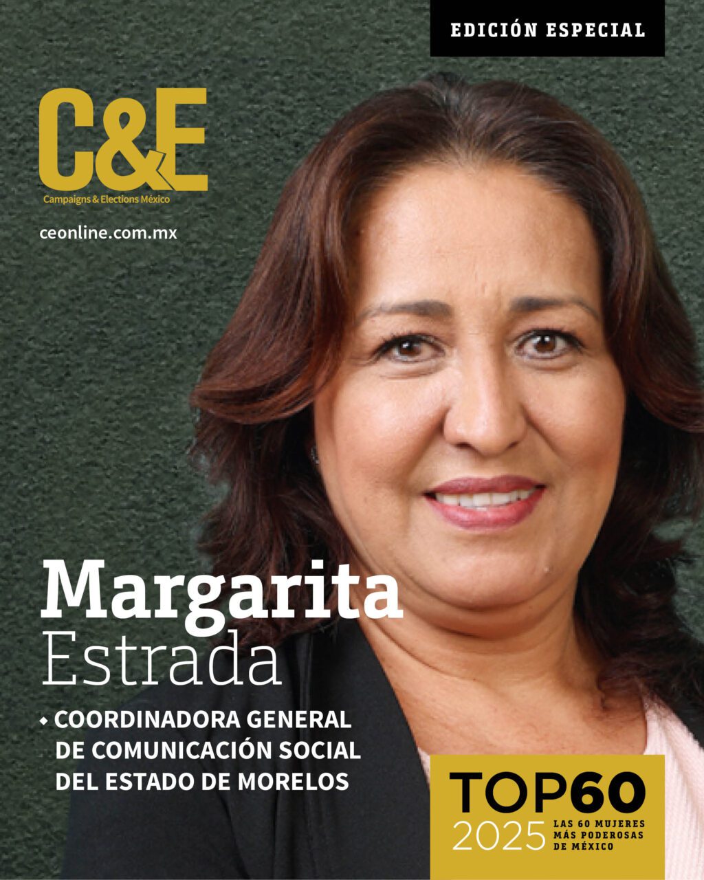 Margarita Estrada Serrano - Campaigns and Elections México