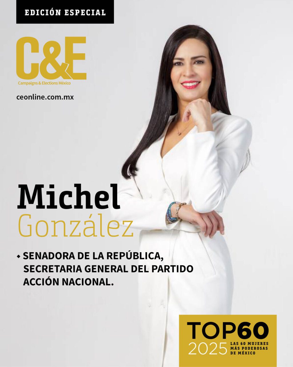 MICHEL GONZÁLEZ - Campaigns and Elections México