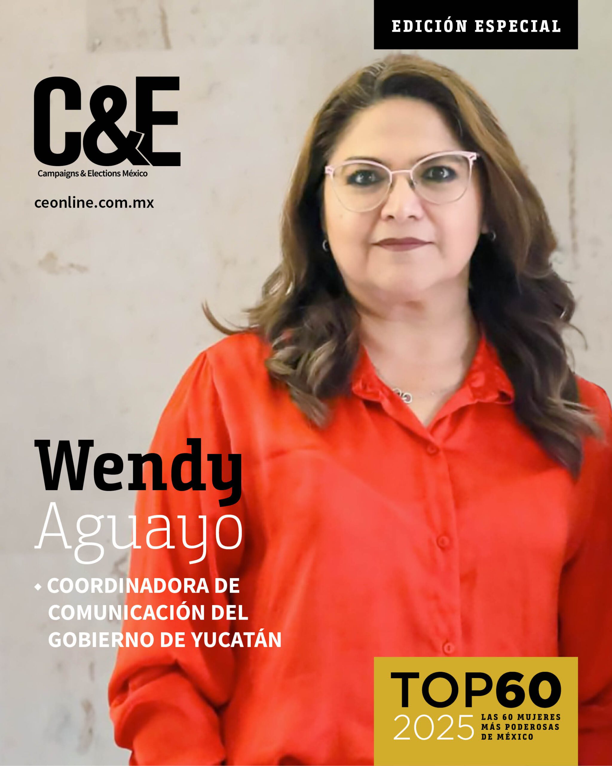 Wendy Aguayo Romero - Campaigns and Elections México