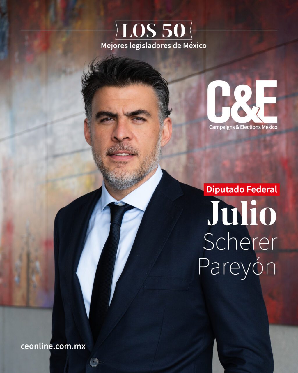 JULIO SCHERER - Campaigns and Elections México